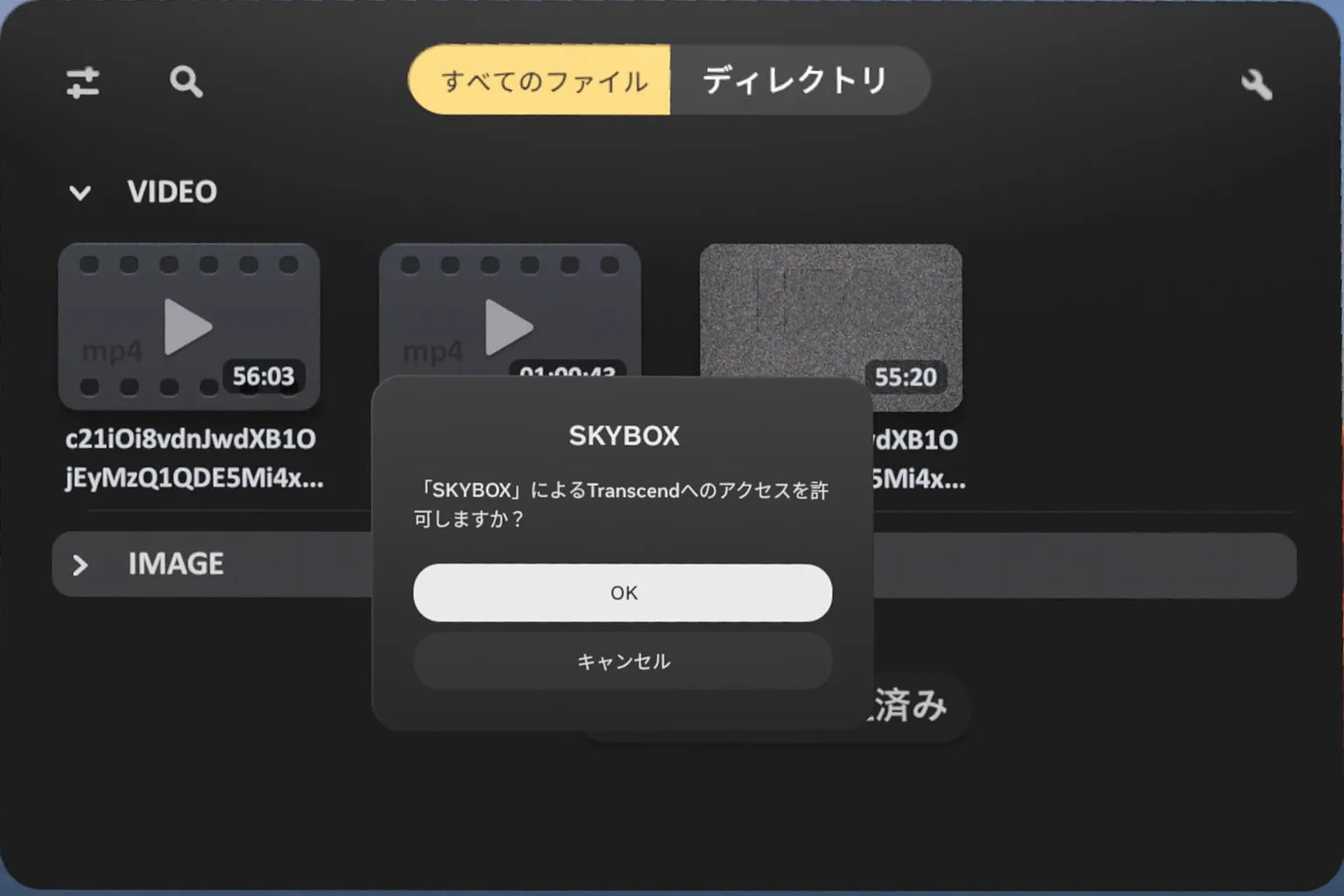 Skybox VR Playerガイド｜ローカル＋AirScreen解説